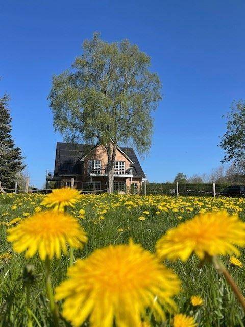75 M² Appartement ∙ 2 Chambres ∙ 4 Personnes - Schacht-Audorf
