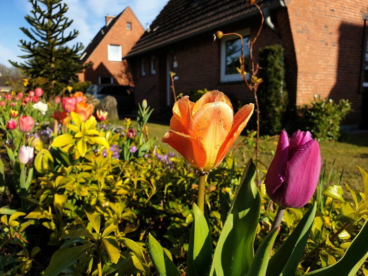 103 M² Maison De Vacances ∙ 2 Chambres ∙ 4 Personnes - Rendsburg