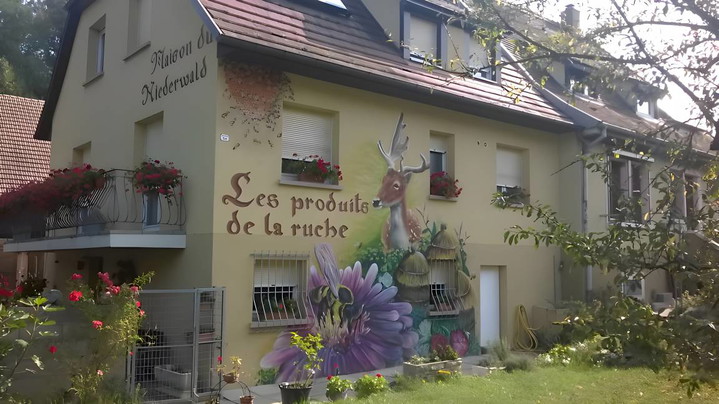 100 M² Cottage ∙ 2 Slaapkamers ∙ 10 Gasten - Turckheim