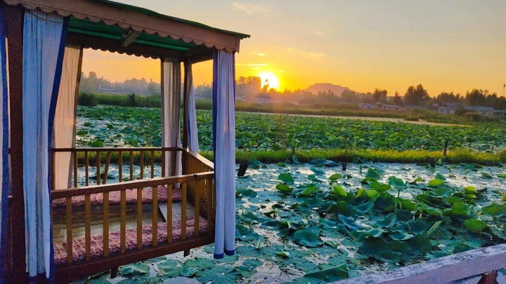 Houseboat Young Wild Rose - Srinagar