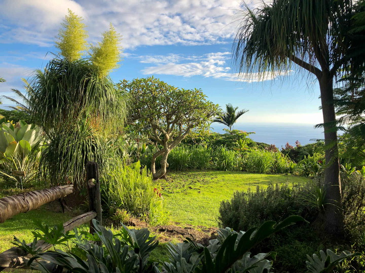Gingerhill Farm - Hawaii