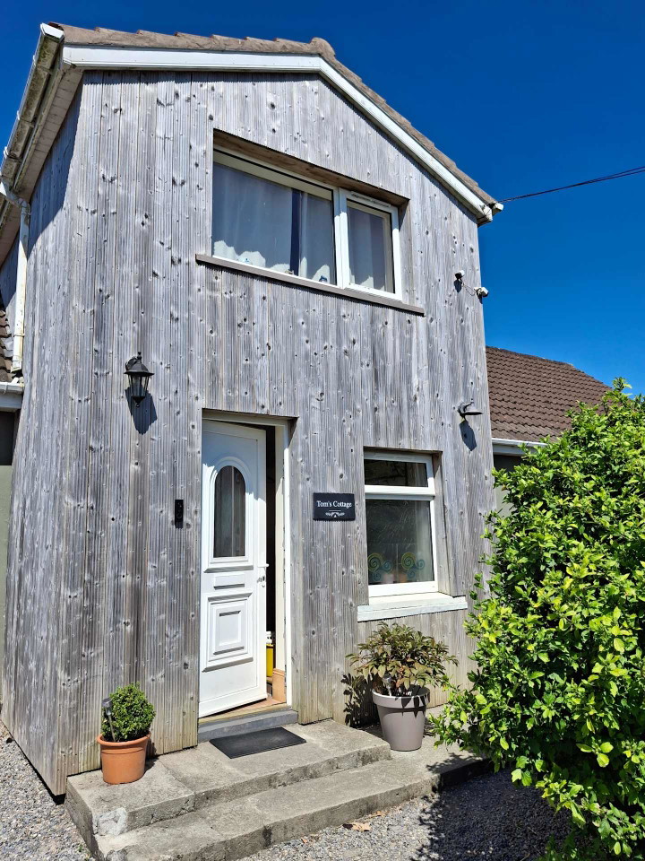 Tom's Alpaca Cottage - Irlanti