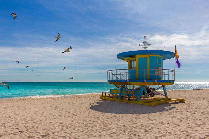 The Tropics Hotel And Hostel - Floride
