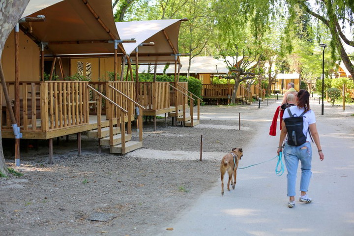 Lodge Safari 5 Personnes 20 M² - Avignon