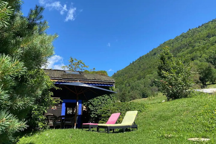 Le Petit Nid D'amour - Montriond
