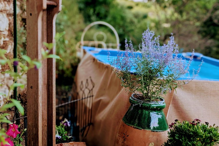 Boa Vista, Magnifique Mazet Provençal - Beaumes-de-Venise