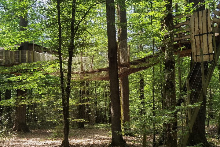 Cabane Champignon - Département Marne