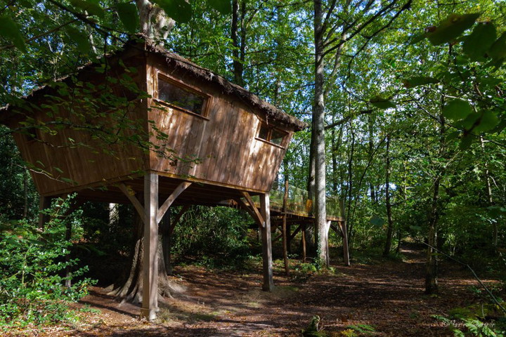 Cabane Mésange - Laval, France