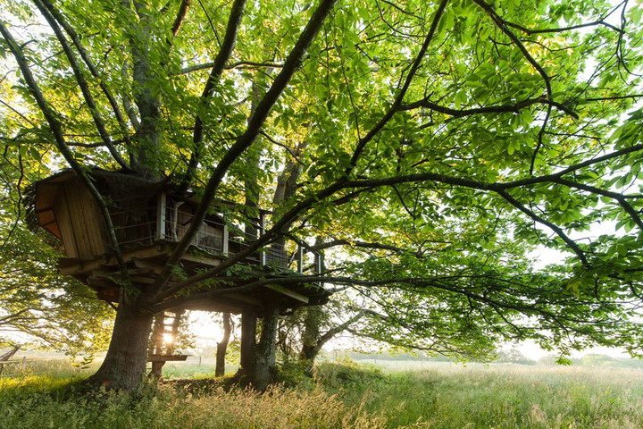 La Cabane Perchée Folenn - Carnac