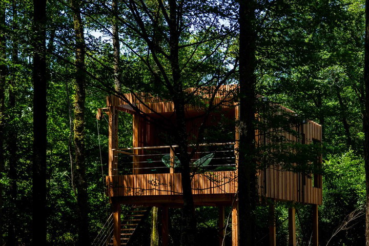 Suite « T(h)rees » & Spa [Copie] - Centro