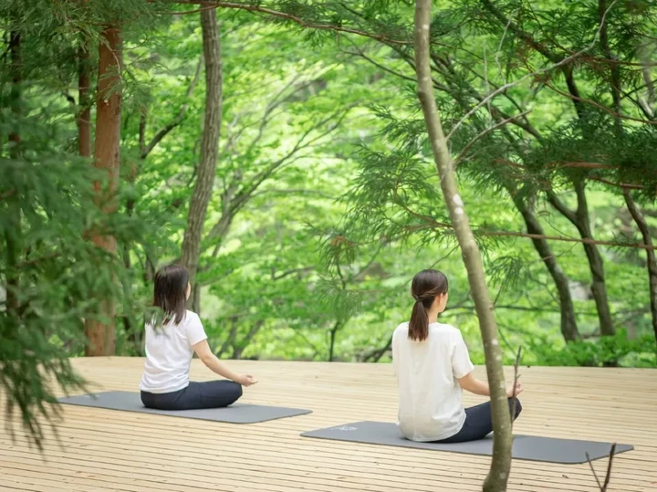 Hotel Forest Hills Nasu Itamuro Villa - Nasu