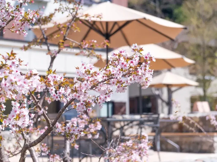 Kamikochi Lemeiesta Hotel - Matsumoto