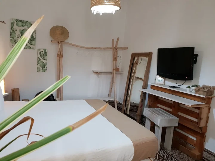 Cactus Host - Gran Canaria