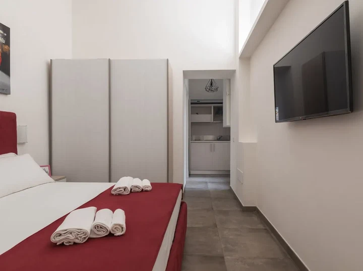 Bed&bikerome Giulio Cesare - Vatican City