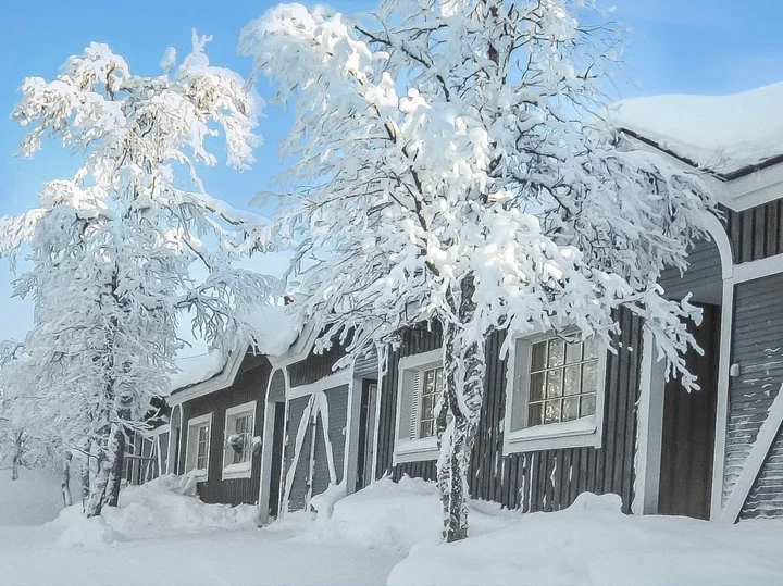 Tunturikuksa - Saariselkä