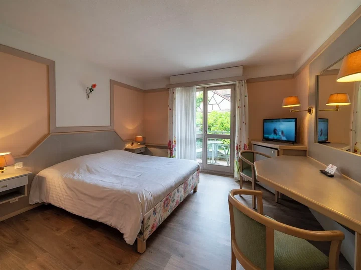 Hôtel A La Vignette - Bergheim