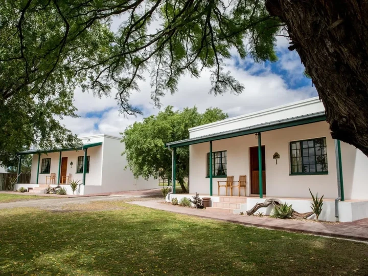 Olive Grove Guest Farm - Western Cape