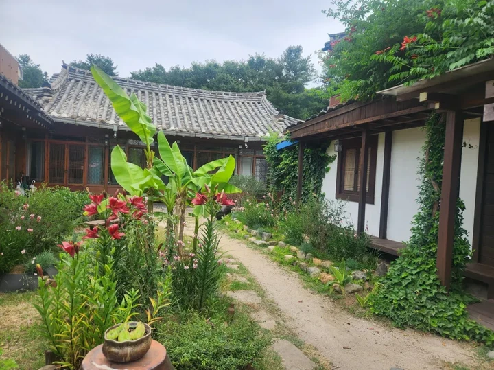 Namuae - Gyeongju-si