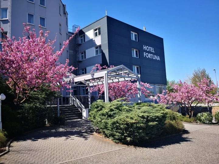 Hotel Fortuna Reutlingen-tübingen - Reutlingen