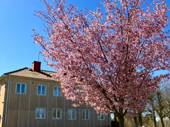 Partille Vandrarhem - Göteborg