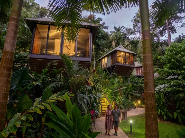 Daintree Eco Lodge - Daintree