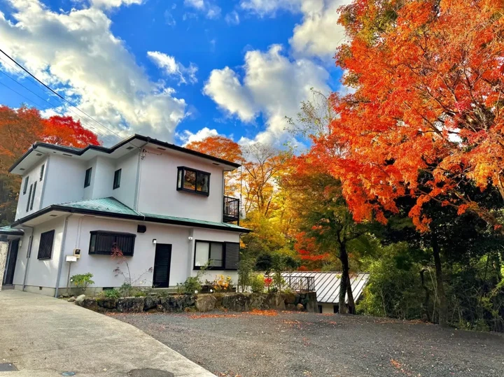 Yangui - Odawara