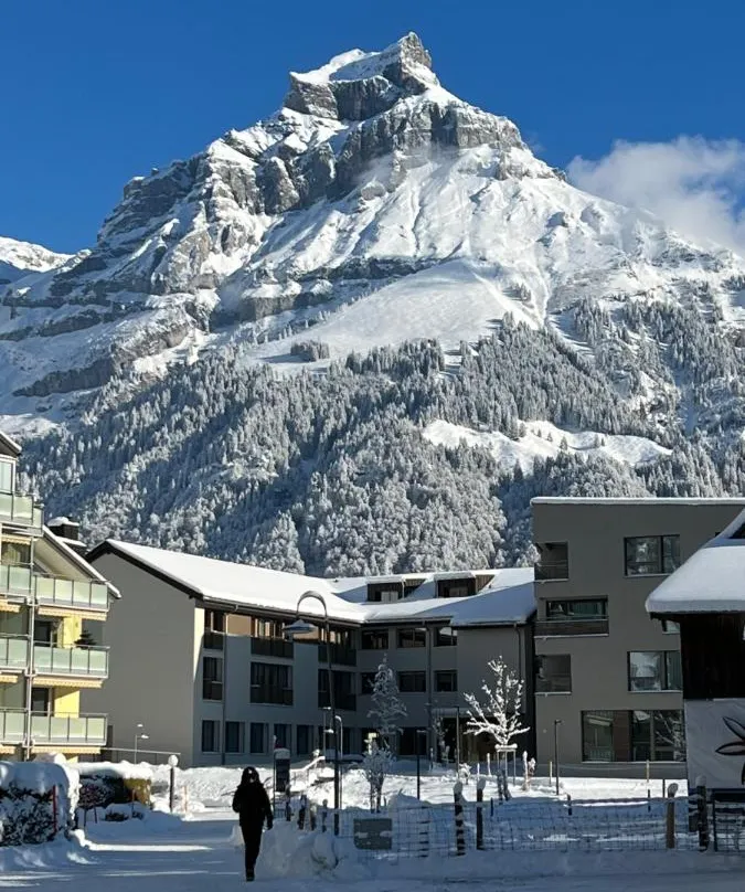 Grand Your Home With Common Kitchens With Self Check-in - Switzerland
