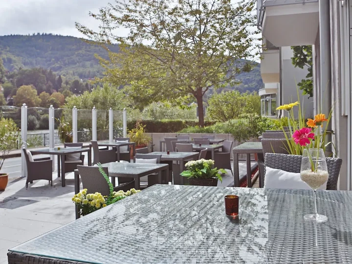 Hotel Neckarlux - Heidelberg