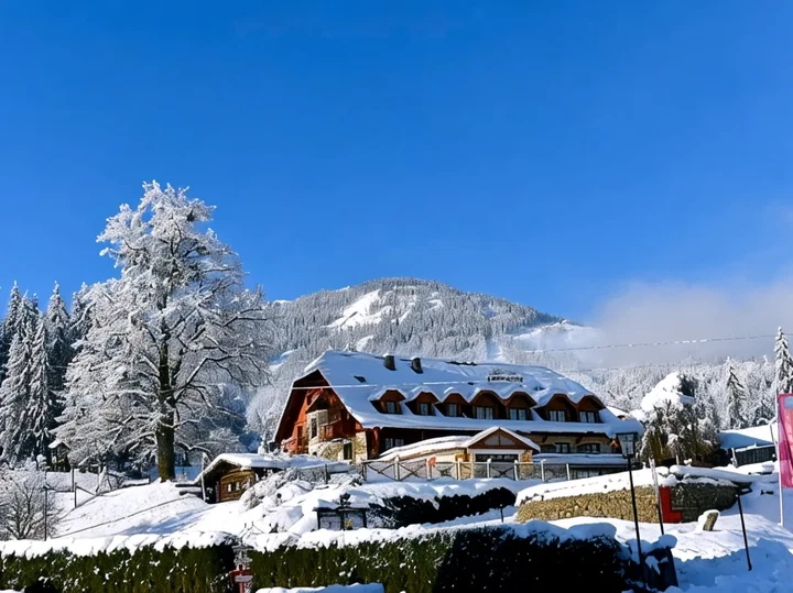 Hotel Vitaler Landauerhof - Schladming