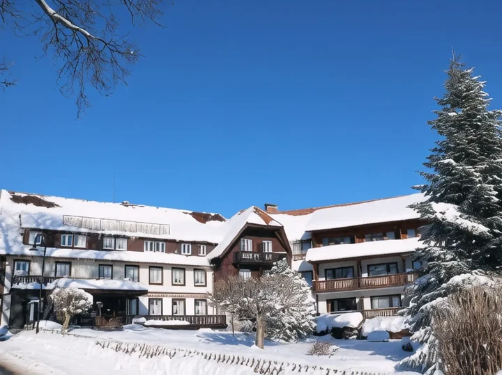 Hotel Hochfirst - Titisee-Neustadt