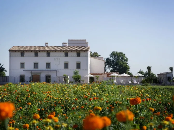 La Mozaira - Valencia