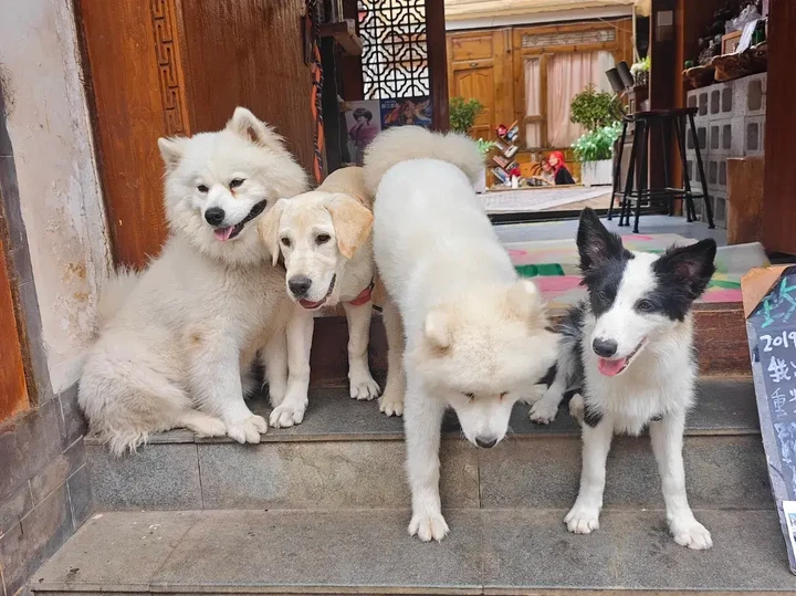Melody Echo  Courtyard - Lijiang