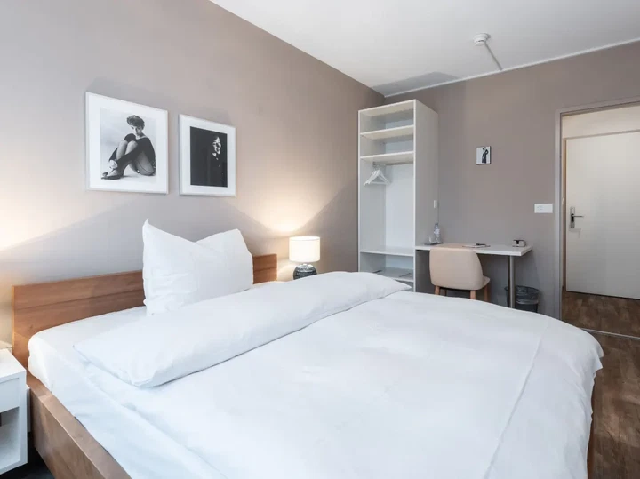 Hotel Birsighof Basel City Center - Basel