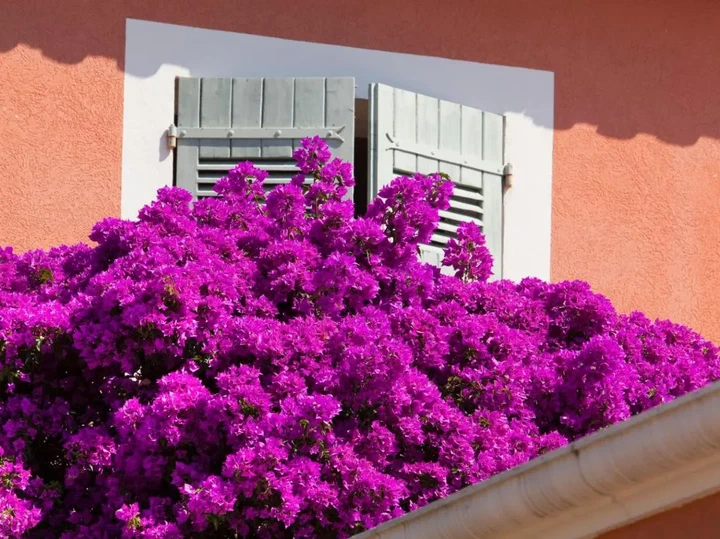 Hôtel Le Mouillage - Grimaud