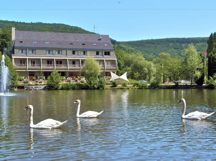 Hôtel Les Rives - Guebwiller