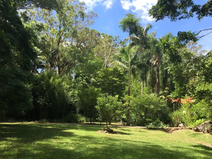 Songbirds Rainforest Retreat - Logan City