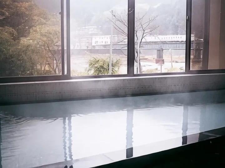 Ryokan Hyokin - 下呂市
