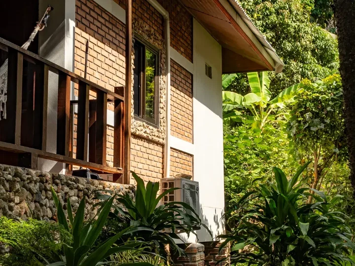 Deniz’s Zen Forest - Phangan