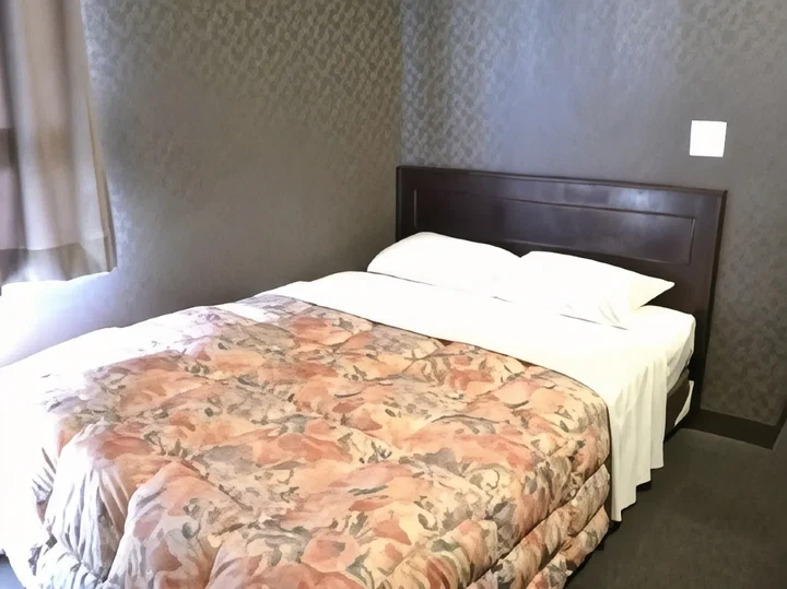 Hotel Sanada - Matsue