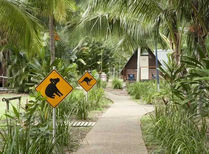 Bounce Magnetic Island And Koala Park - Formerly Roamer - Townsville
