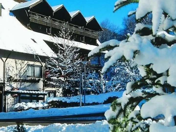 Hotel Restaurant Schwarzwaldhof - Bad Wildbad