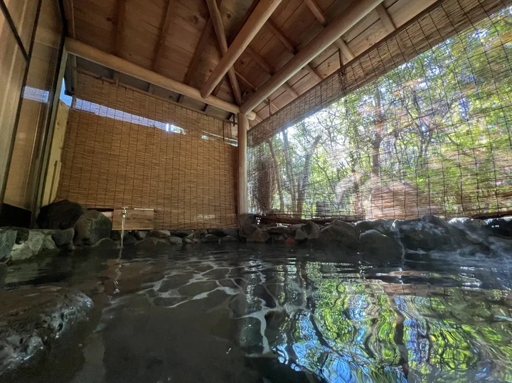 Yumesakikan - Iga