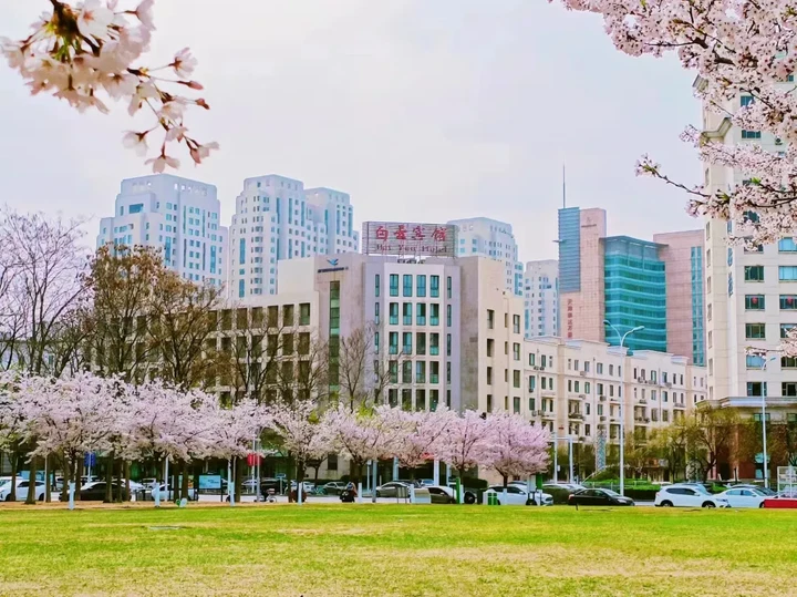 Tianjin Binhai New Area Second Street Baiyun Hotel - Tianjin