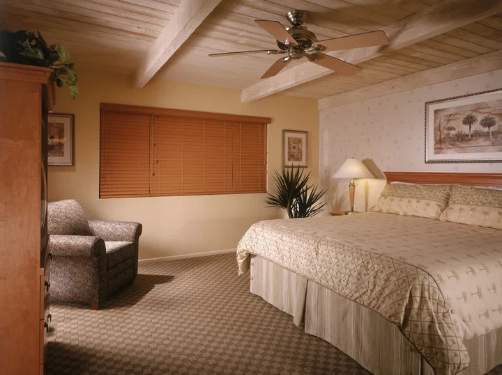 Desert Isle Of Palm Springs - Palm Springs