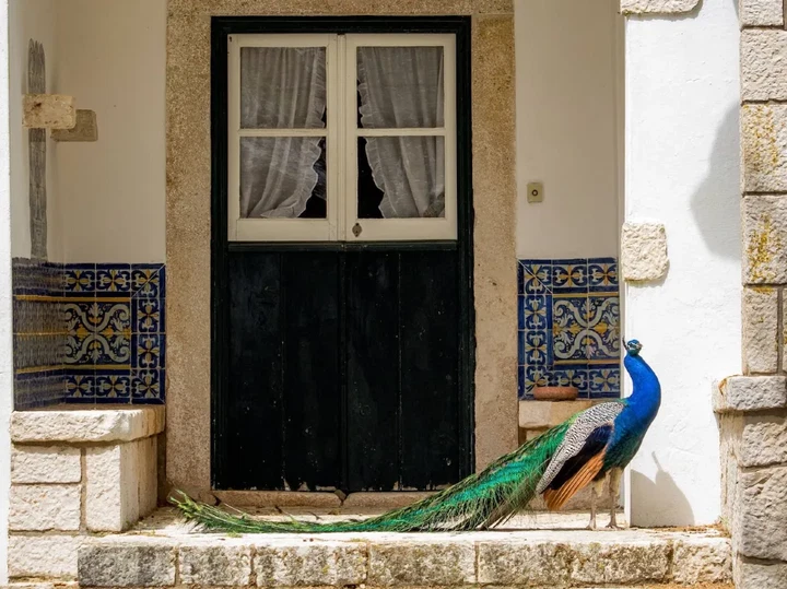 Quinta Da Foz - Portugal
