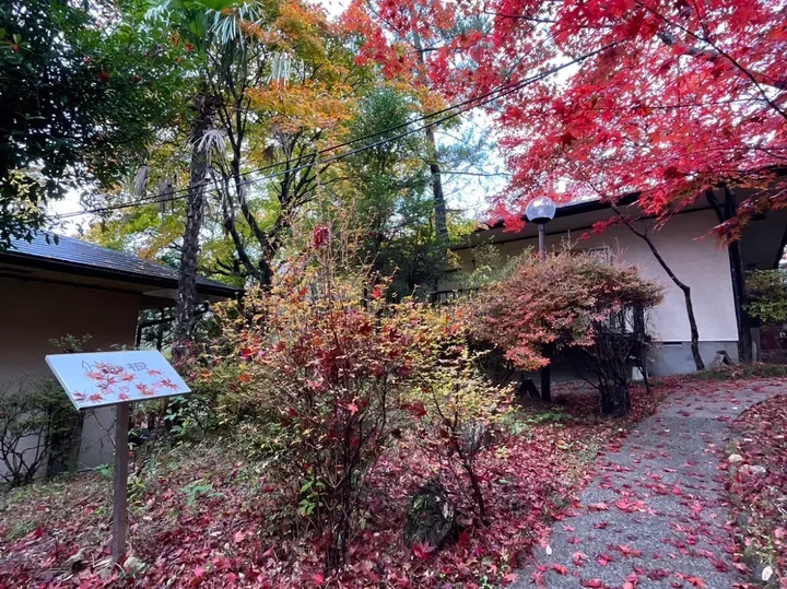 Kaederesortkinugawa Onsen - 닛코시