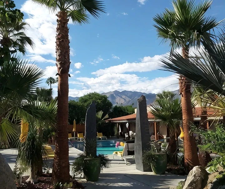 Dive Palm Springs - Palm Springs, CA