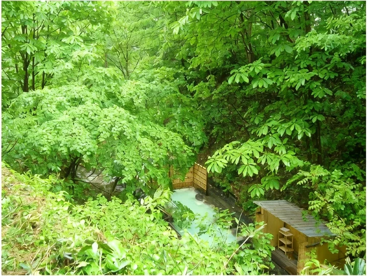 Hotels In Forest Waldberg - Yamagata