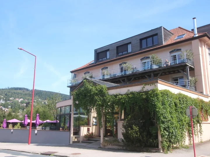 Les Loges Du Parc - Gérardmer