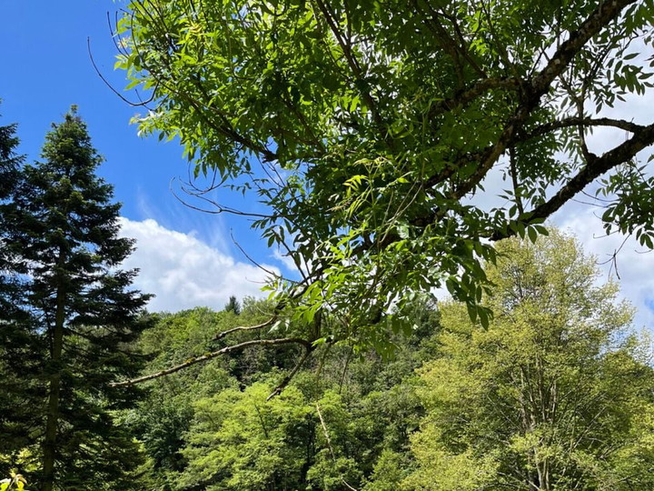 Camping La Roche - Belgium